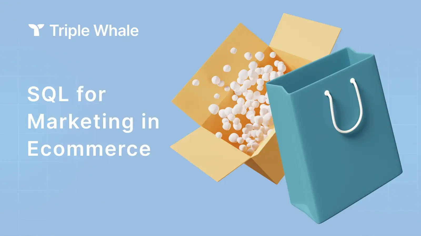 SQL for Marketing in Ecommerce: Benefits + Use Cases | Triple Whale